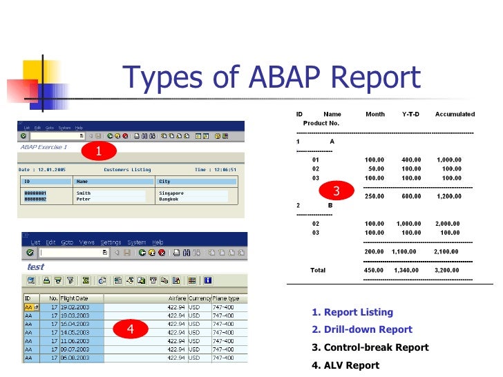 ABAP Programming Overview ABAP Programming Overview