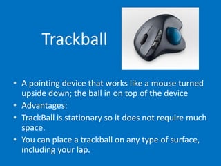 A Basic Terms PowerPoint.pptx