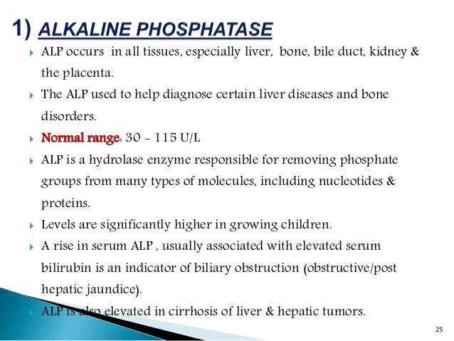 LIVER FUNCTION TEST (ENZYME PART)