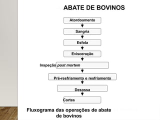ABATE-E-INSPEÇÃO-DE-BOVINOS DE ACORDO COM AS NORMAS DO MAPA | PPTX