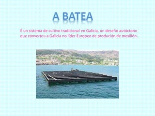 A batea 1 | PPSX