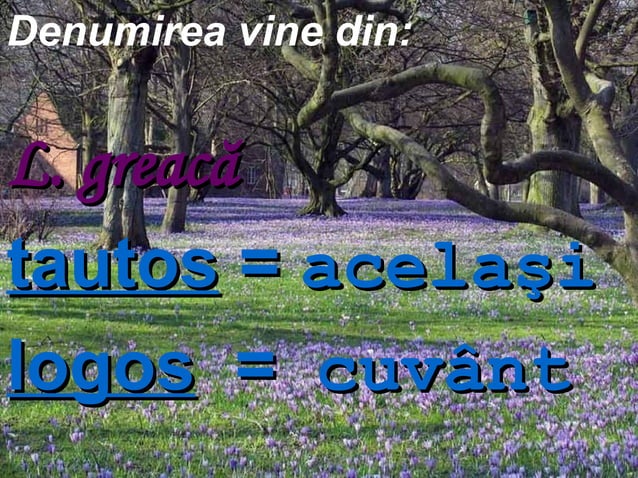 abateri_gramaticale_in_relatiile_semantice.ppt