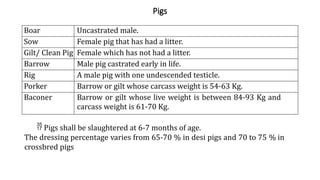 Abattoir practices and animal byproducts Technology Introduction | PPTX