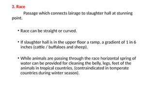 General layout and facilities required for a slaughter house - B.V.Sc ...