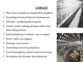 Peculiarities of Abattoir and Meat Industry | PPTX