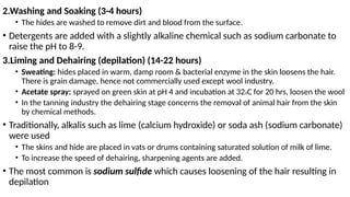 Abattoir byproducts preparation and its uses part two | PPT