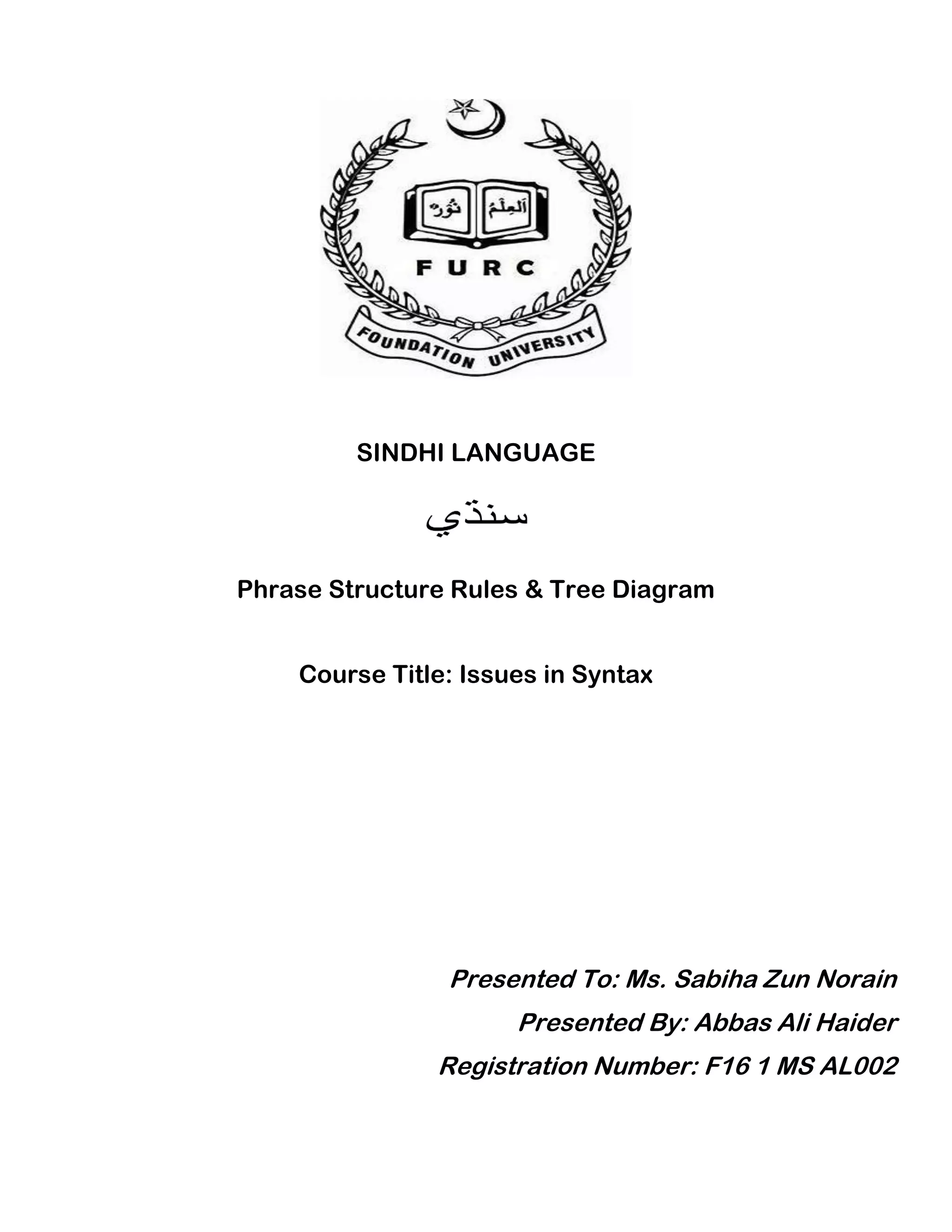 Syntax of Sindhi Language | PDF