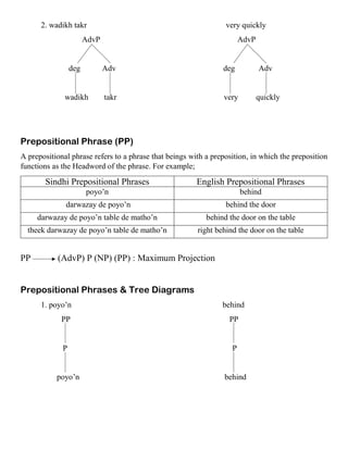 Syntax of Sindhi Language | PDF