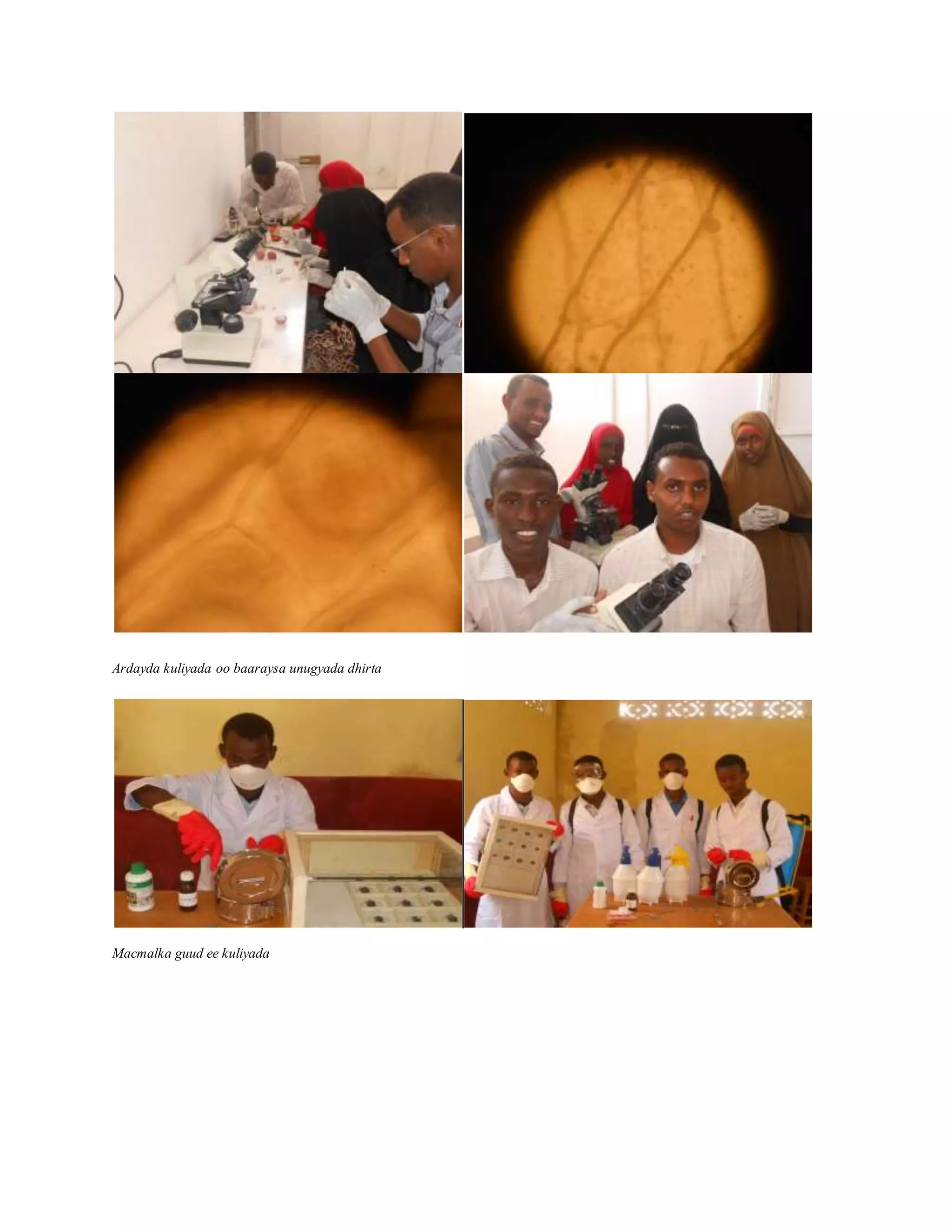 buuga agro vet ka | PDF