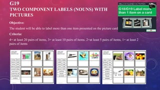 Ablles Domain G | PPTX