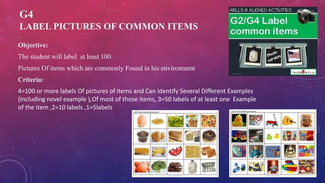 Ablles Domain G | PPTX