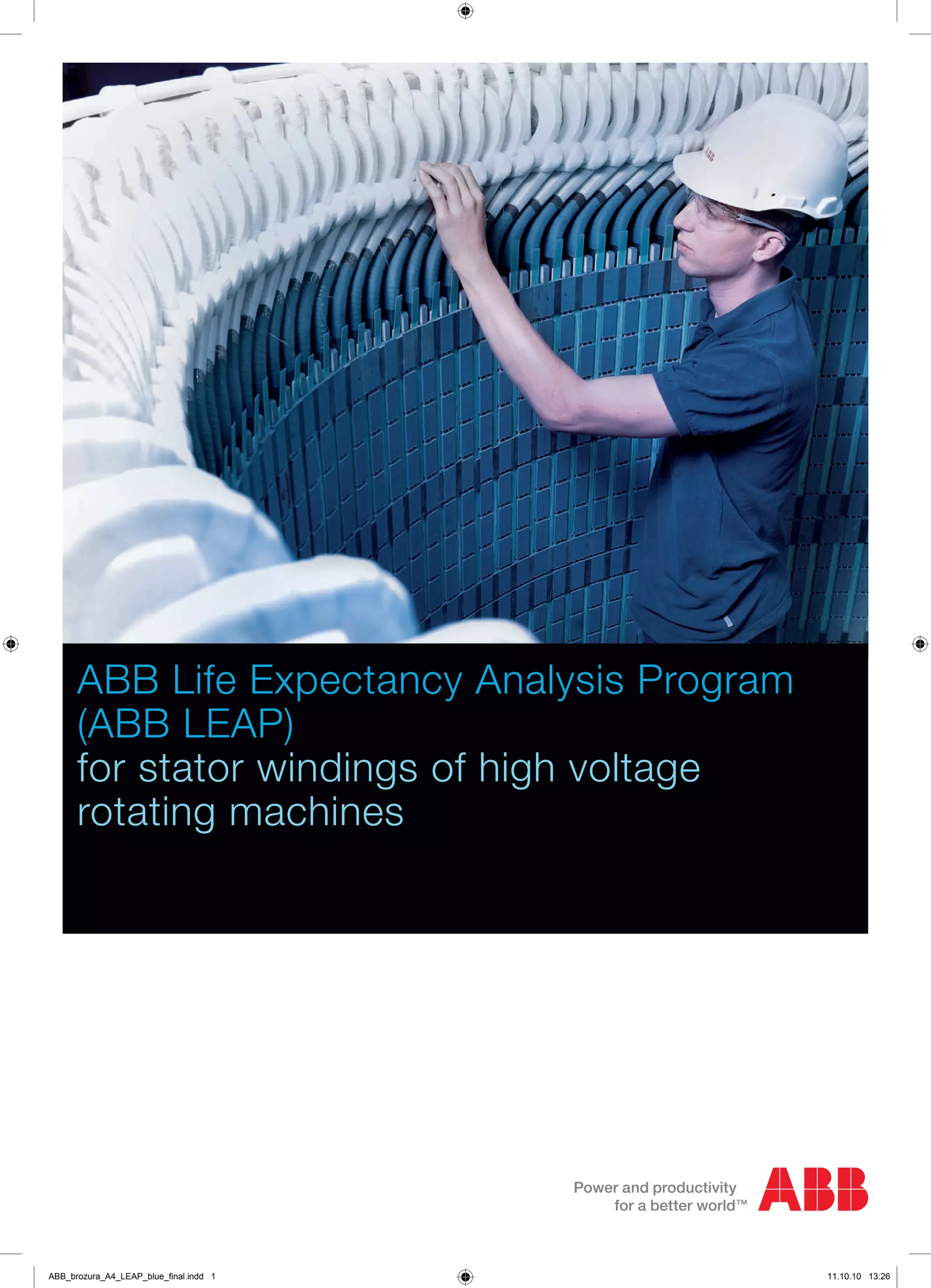 ABB Life Expectancy Analysis Program | PDF