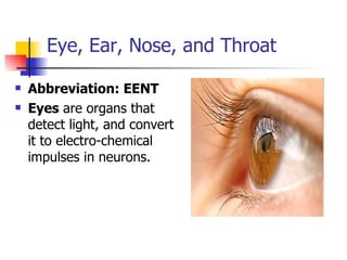 Abbreviation and their meaning#13 | PPT