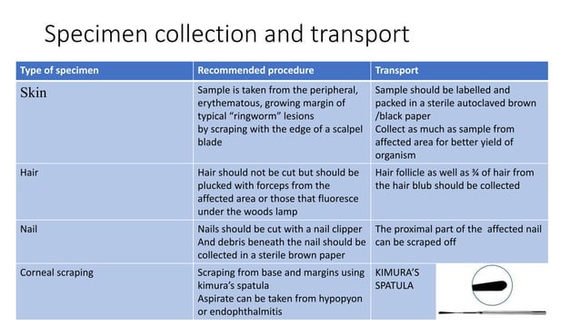 laboratory diagnosis of fungal inections | PPTX