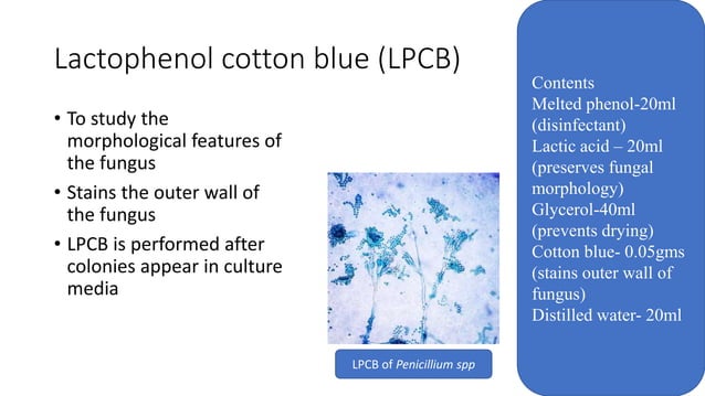 laboratory diagnosis of fungal inections | PPTX