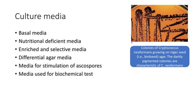laboratory diagnosis of fungal inections | PPTX