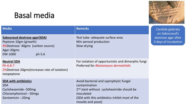 laboratory diagnosis of fungal inections | PPTX