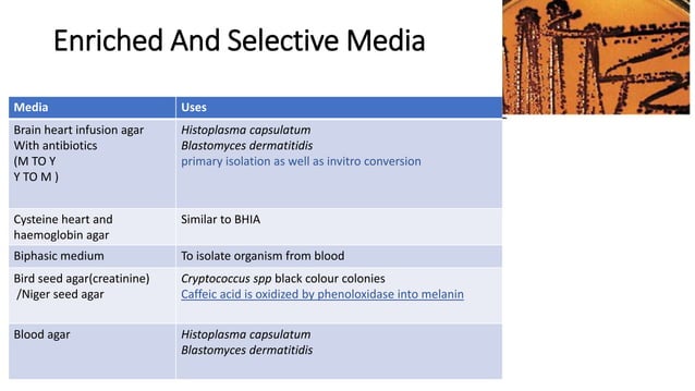 laboratory diagnosis of fungal inections | PPTX