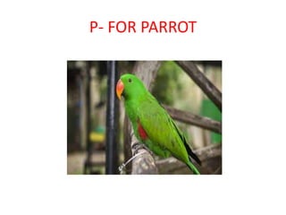 English alphabets | PPT