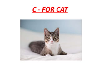 English alphabets | PPTX