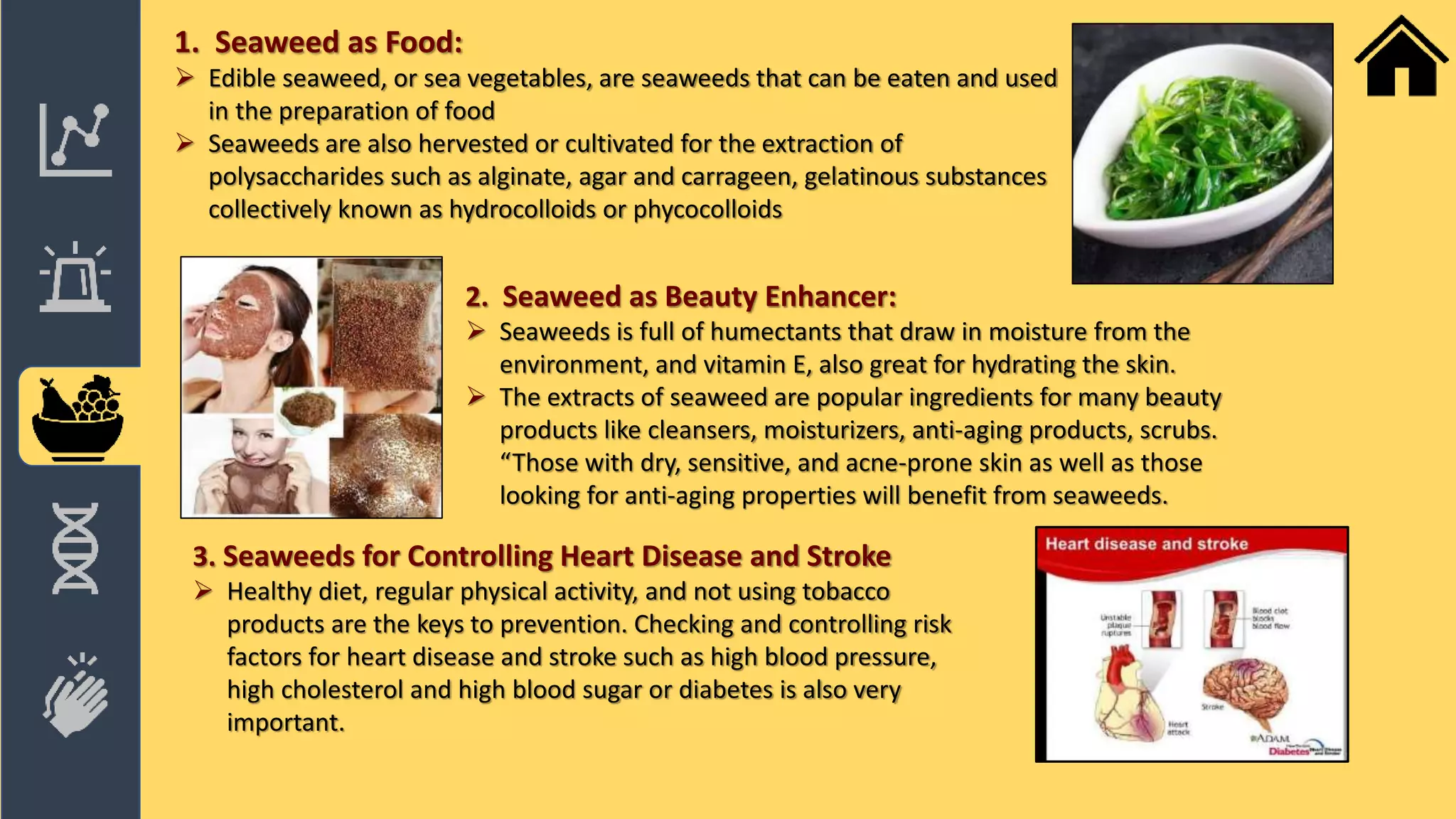 seaweed | PPTX