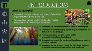 seaweed | PPTX
