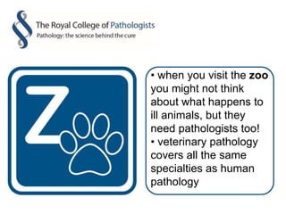 ABC-of-pathology-for-ages-10-and-up.ppt