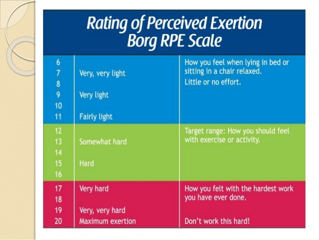 Marissa Menendez Major Nutrition Project presentation 1-30-15