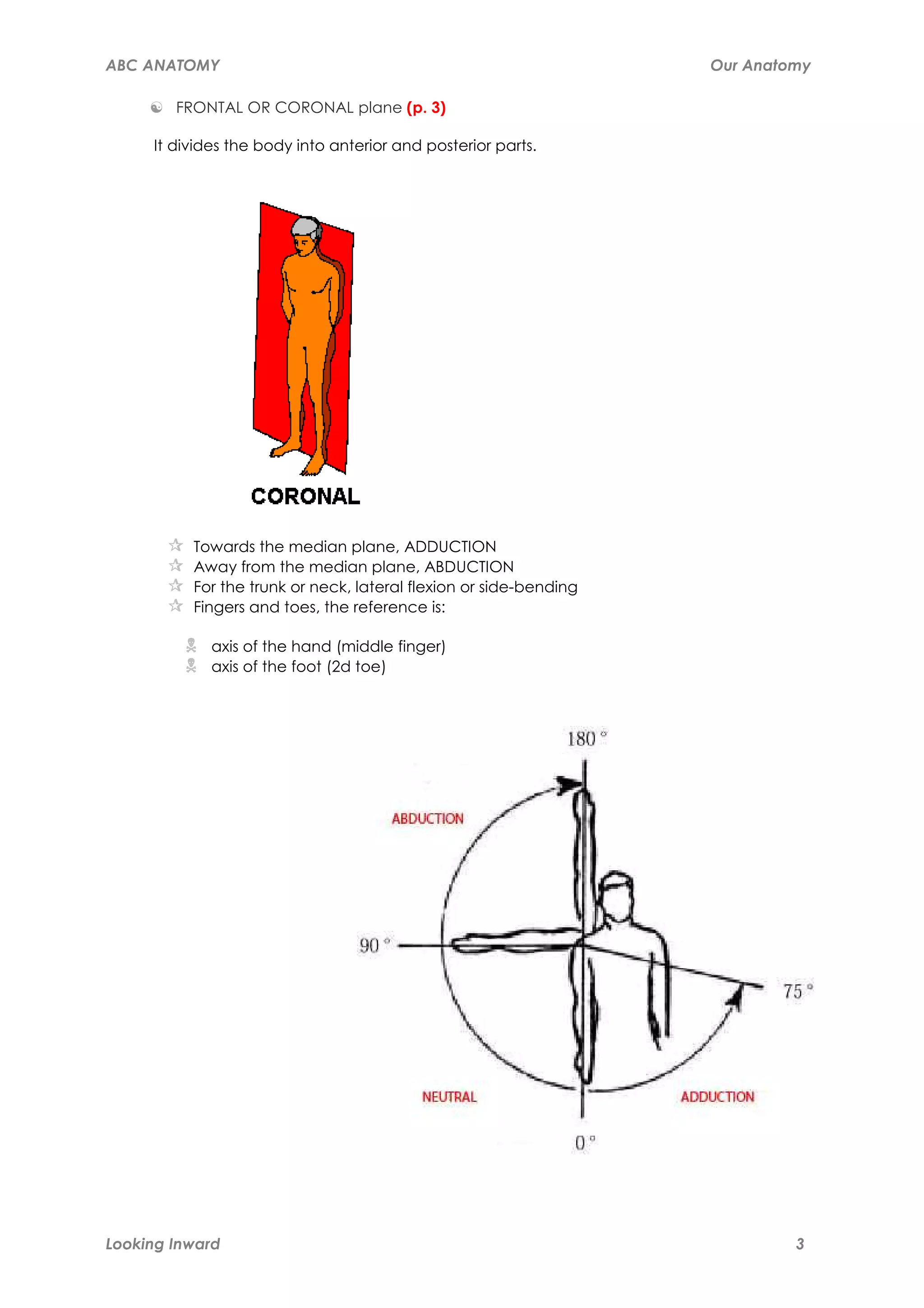 Abc anatomy | PDF