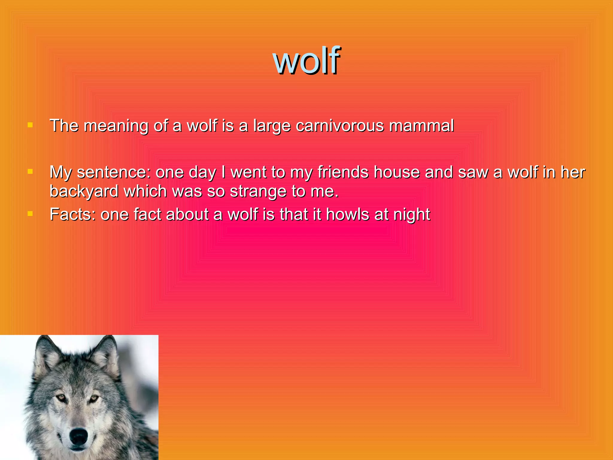 Abc animal book | PPT