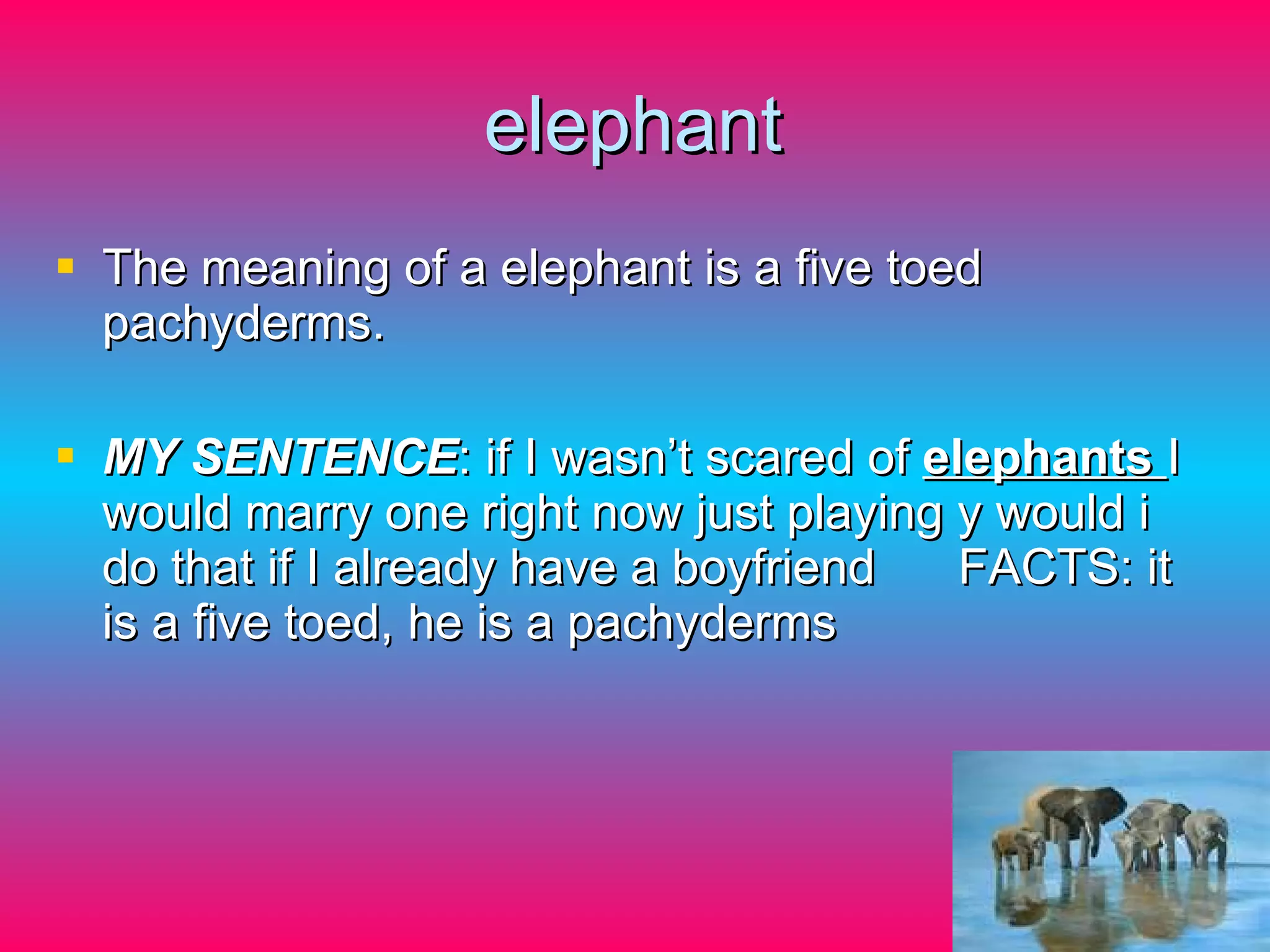 Abc animal book | PPT