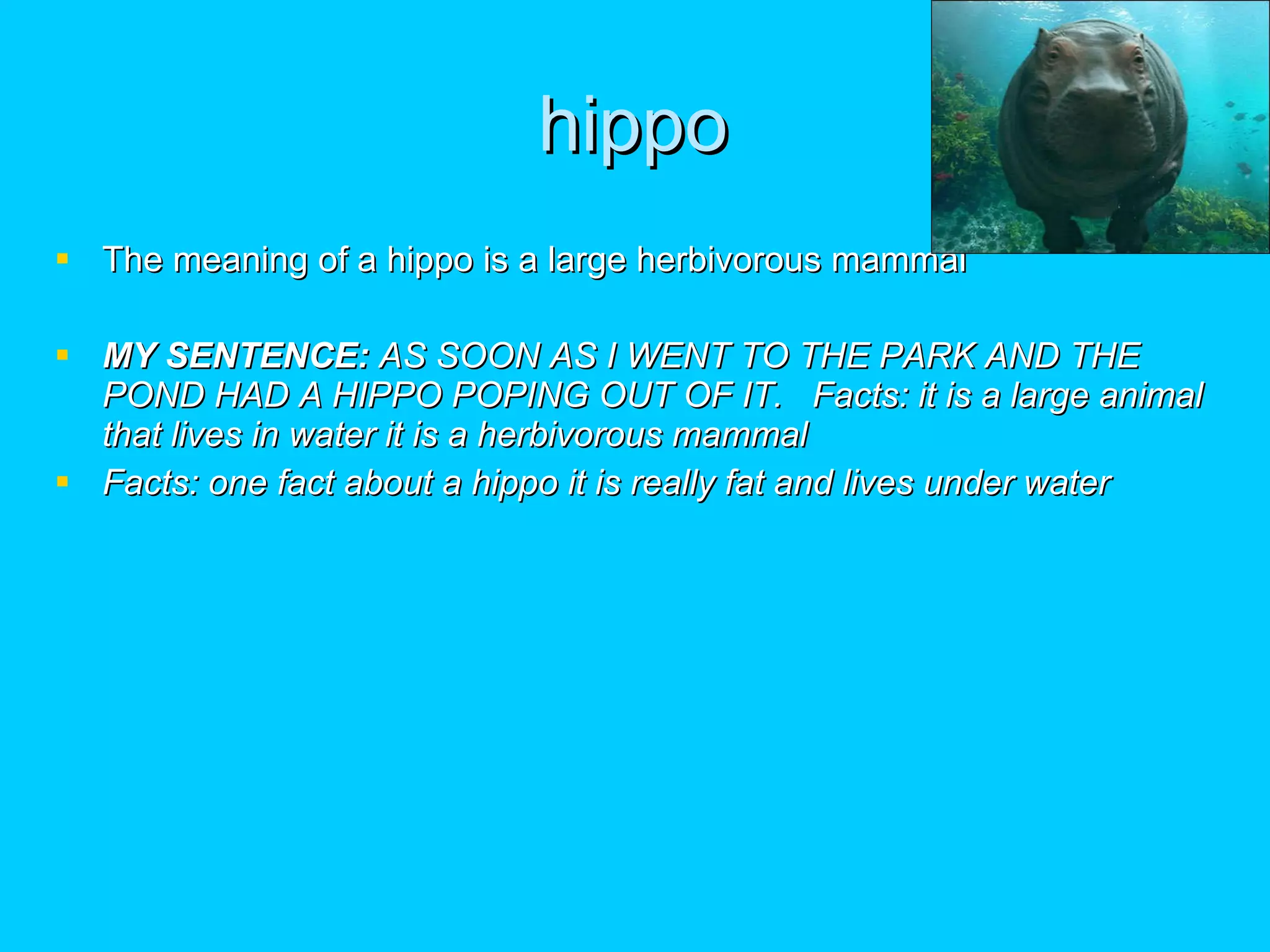 Abc animal book | PPT