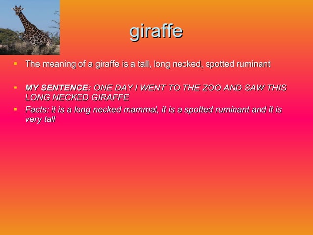 Abc animal book | PPT