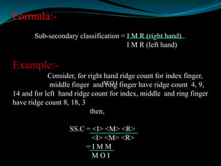 Fingerprint Classification | PPTX