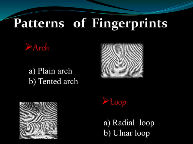 Fingerprint Classification | PPTX