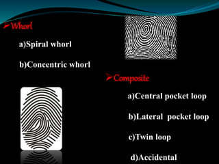 Fingerprint Classification | PPTX