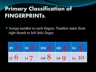 Fingerprint Classification | PPTX
