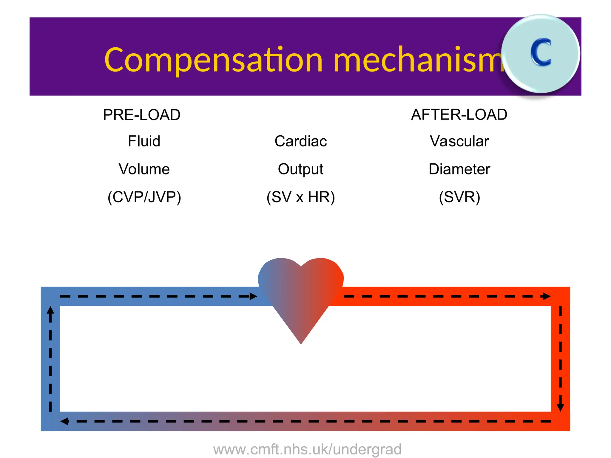 ABCDE ATLS guidelines and management of trauma.ppt | First Aid | Injuries