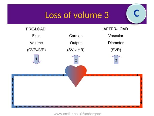 ABCDE ATLS guidelines and management of trauma.ppt | First Aid | Injuries