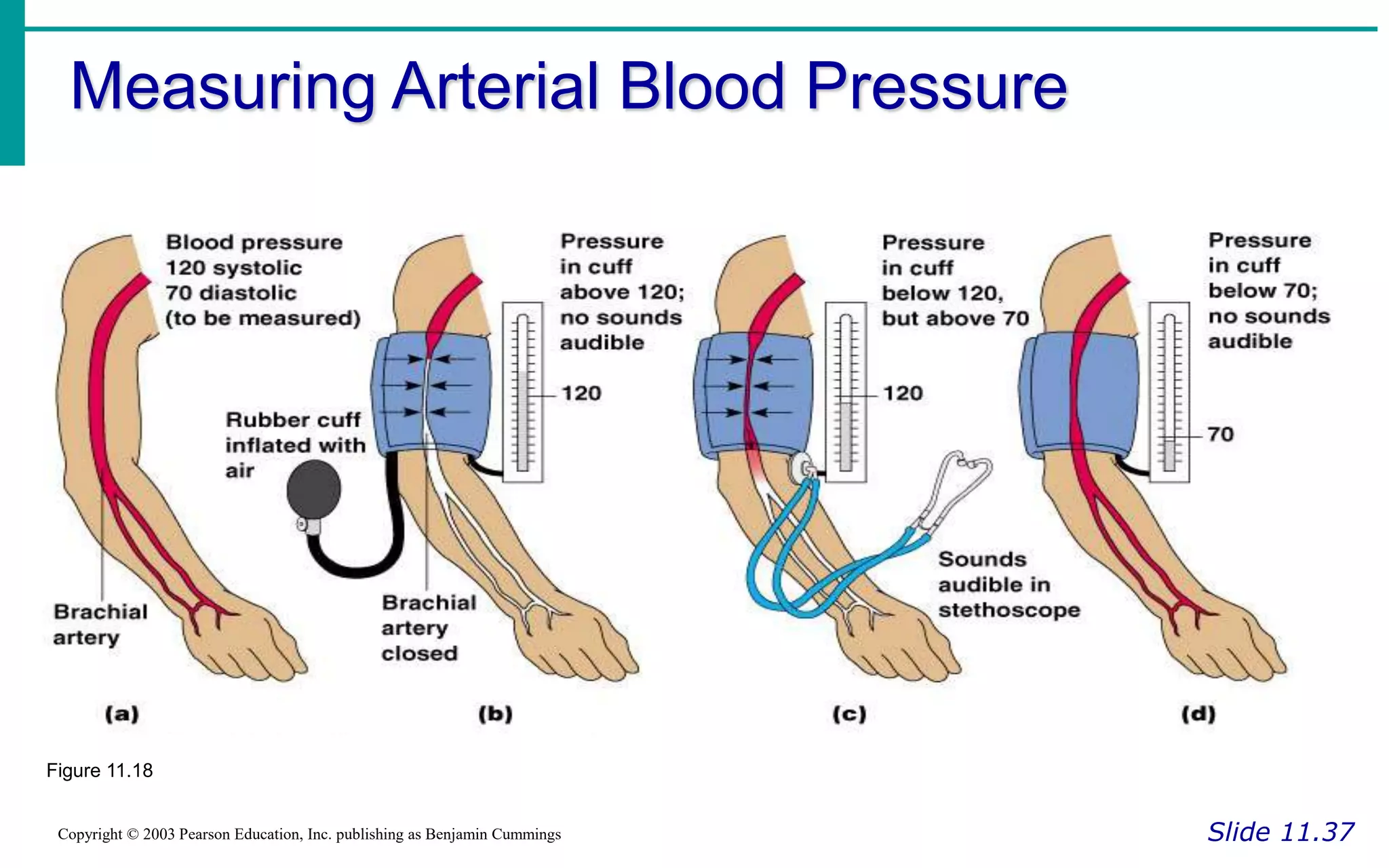 ABCDEF.Cardiovascular-System.pptx