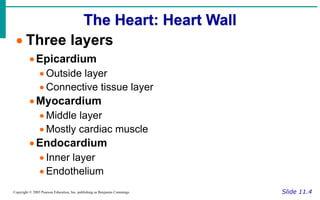 ABCDEF.Cardiovascular-System.pptx