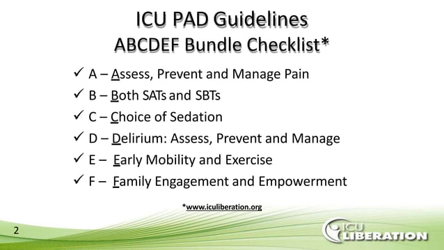 ABCDEF bundle: ICU Liberation Bundle | PPTX