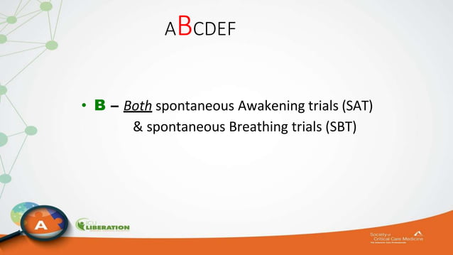 ABCDEF bundle: ICU Liberation Bundle | PPTX