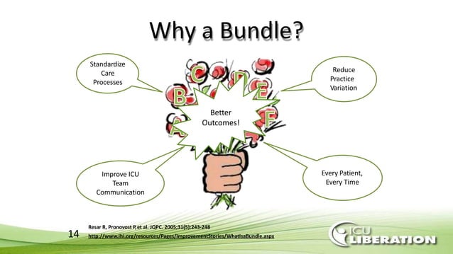 ABCDEF bundle: ICU Liberation Bundle | PPTX