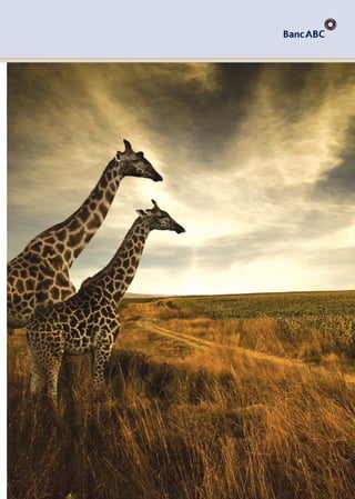 Abc interim report 2010 booklet | PDF