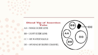 ABC In Upper Gastrointestinal Endoscopy.pptx