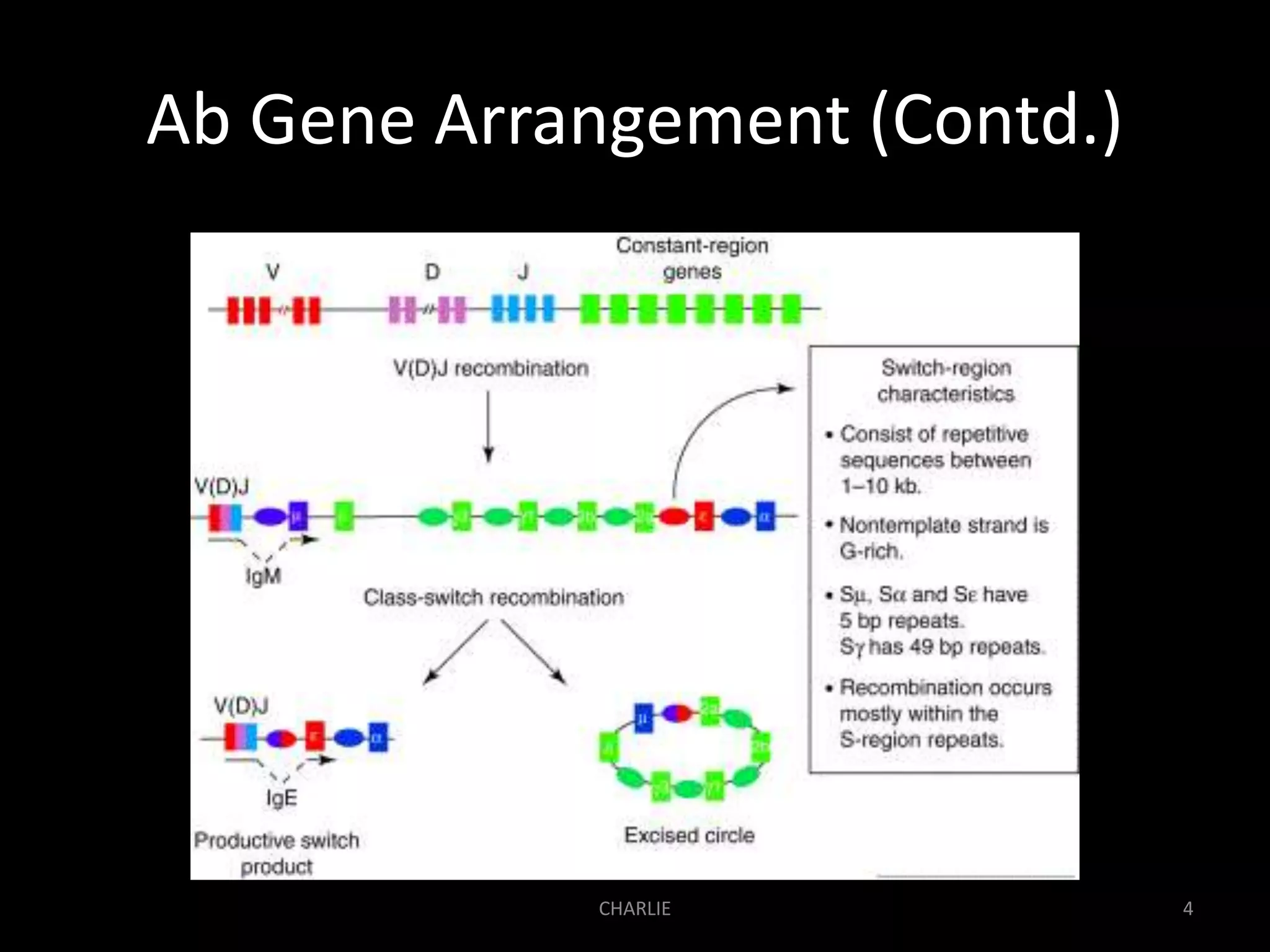 Antibody class switch ppt | PPTX
