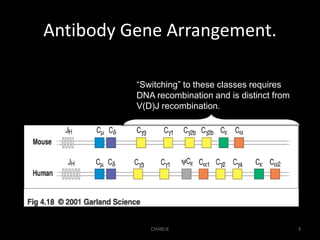 Antibody class switch ppt | PPTX