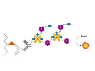 ABC method of IHC | PPT