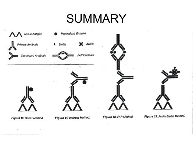 Abc method of ihc